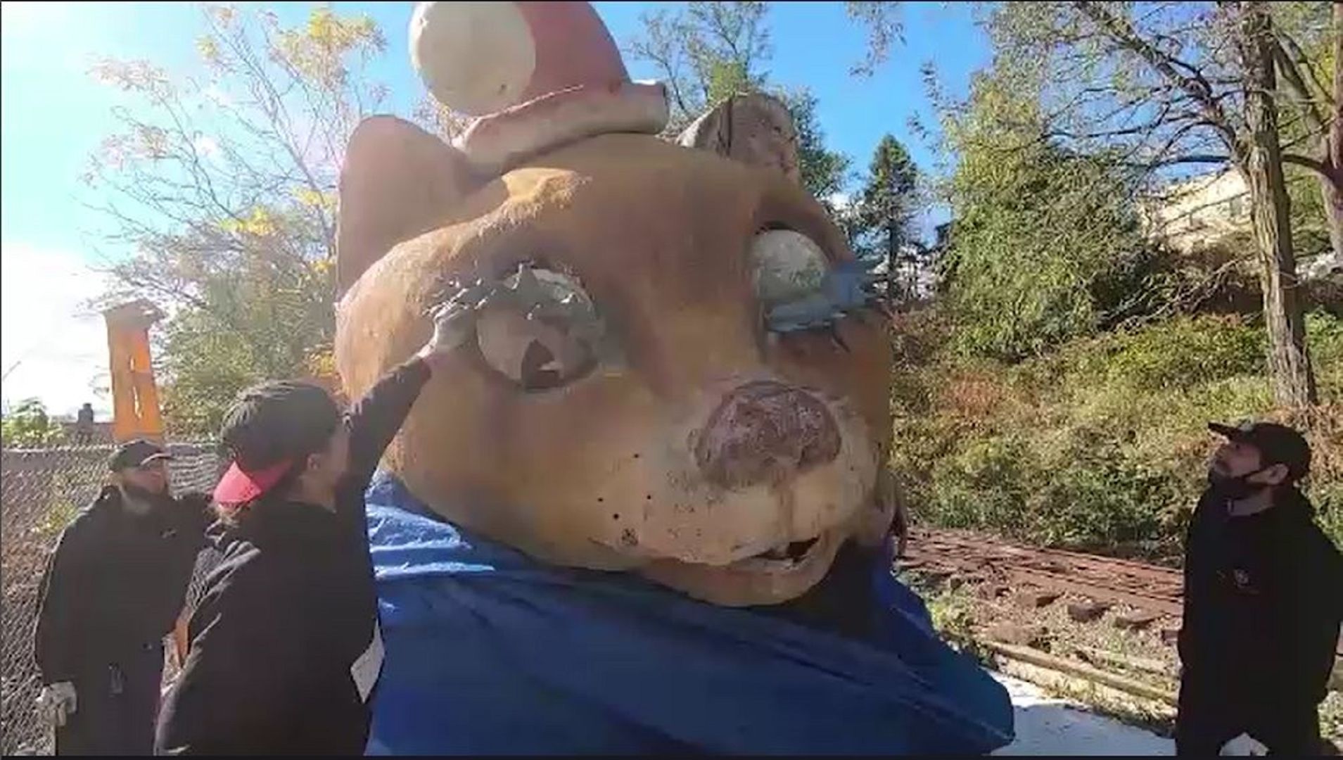 Former Macy’s parade cat float finds new home at New York animal sanctuary