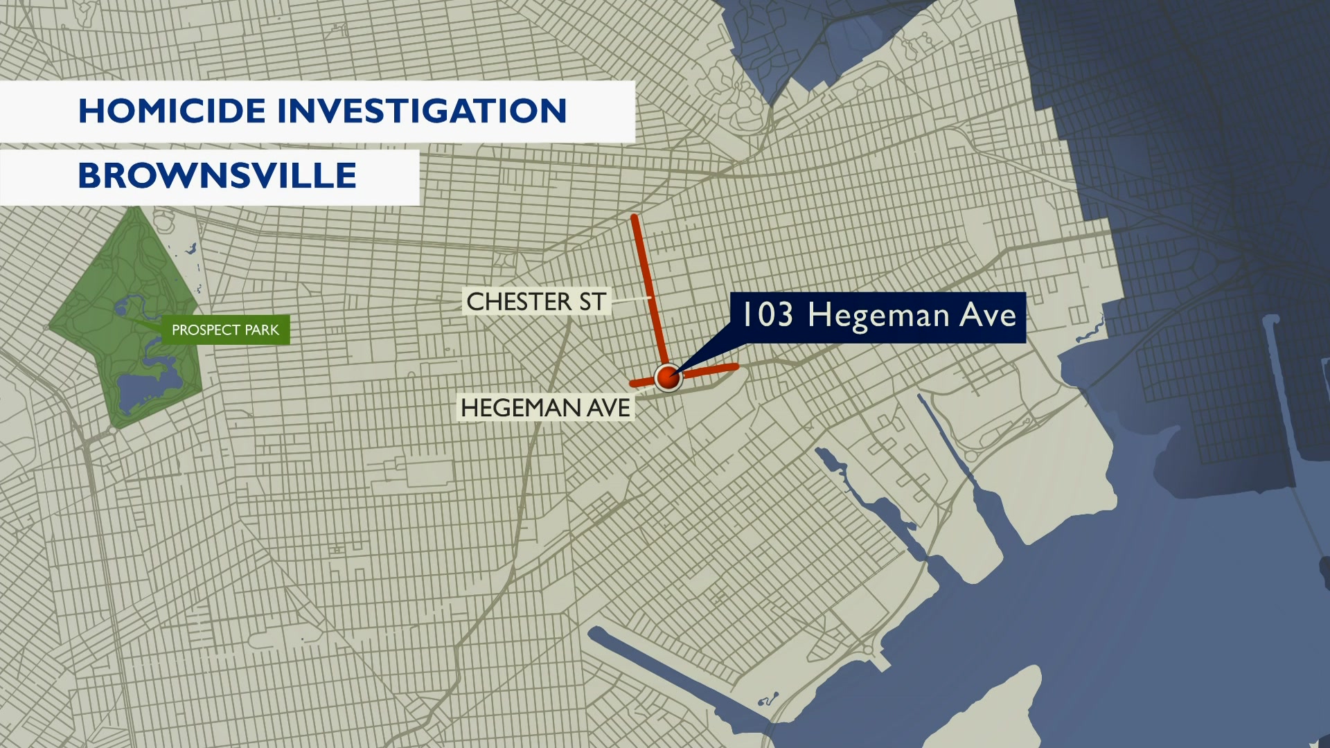 Nypd Brooklyn Man Beats 60 Year Old To Death