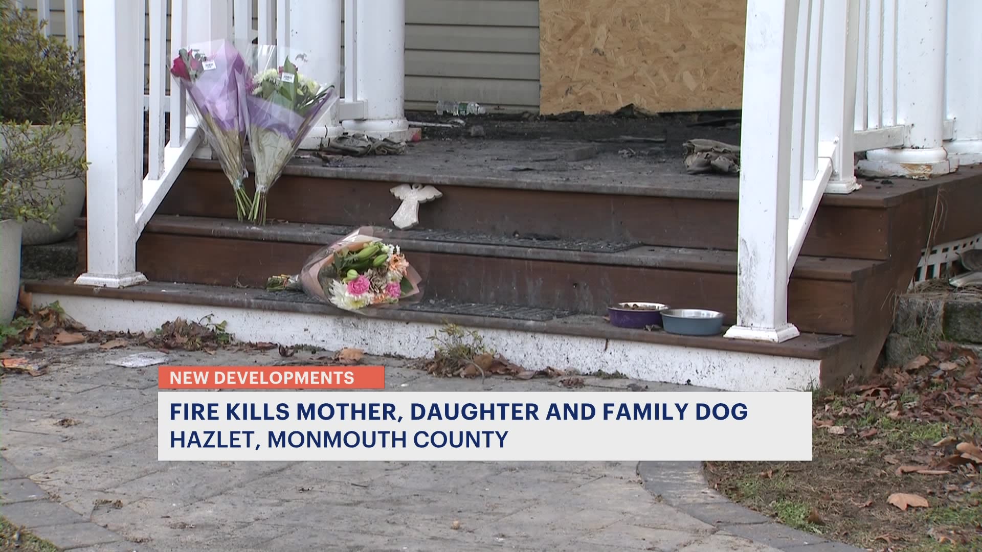 Family: Dog presumed missing after house fire in Hazlet found dead