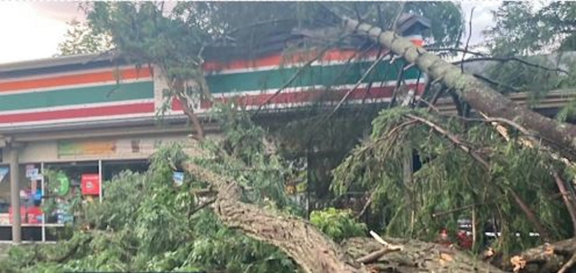 Cleanup continues in Suffolk after pop-up storm snaps power lines ...