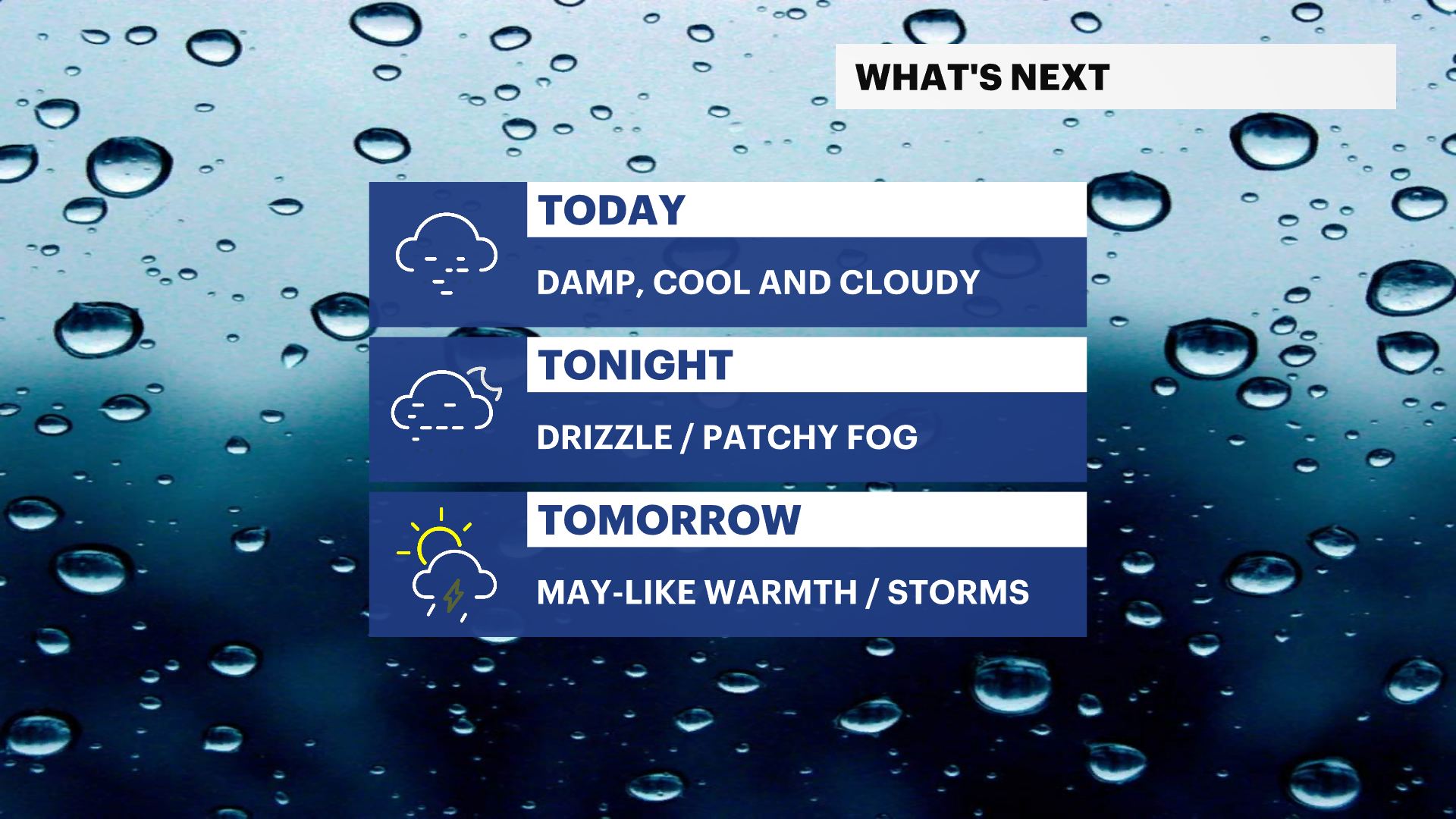 WEATHER TO WATCH: Cool, cloudy night with incoming showers for Thursday