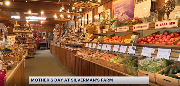 Silverman's Farm in Easton sees uptick in Mother's Day business