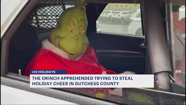 Dutchess sheriff shares video of the Grinch behind bars