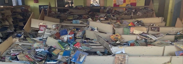 Photos show toppled bookshelves, ruined books from flood-devastated ...