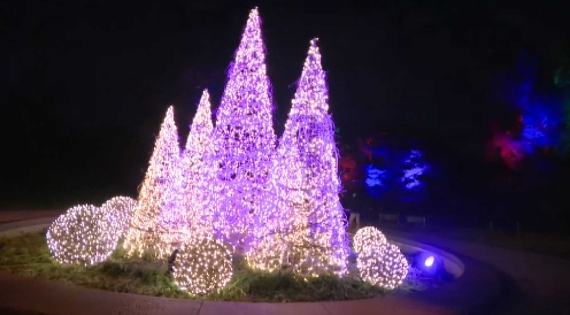 ‘GLOW’ light show returns to NY Botanical Garden for holiday season
