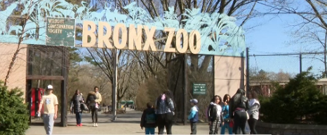 Families celebrate Easter with trip to Bronx Zoo