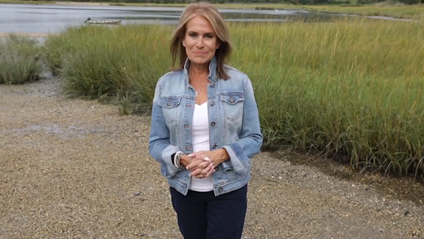 Former News 12 anchor Carol Silva reveals she's cancer-free 1 year ...