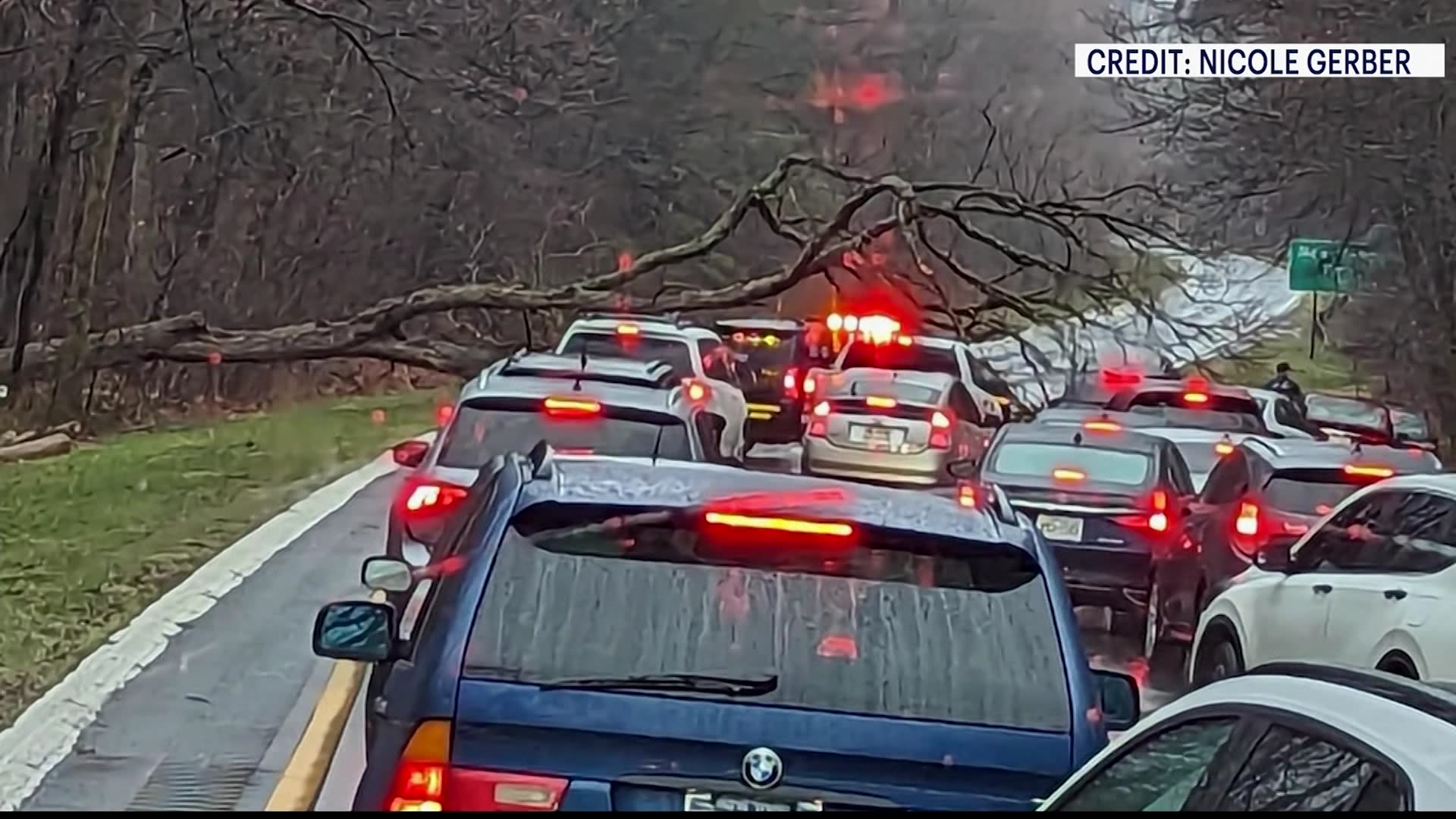 Tree falls across Palisades Interstate Parkway, prompting calls to trim ...