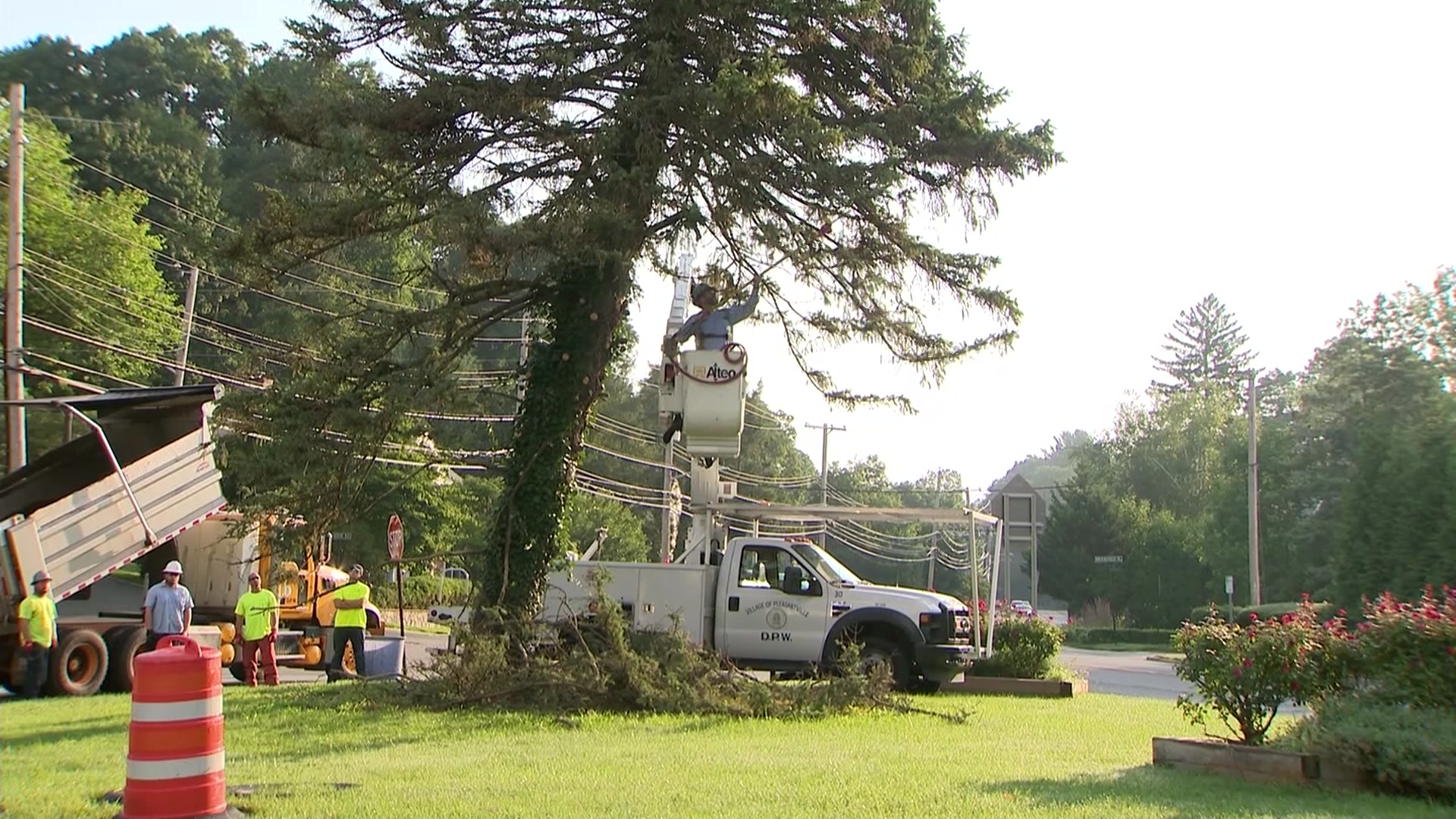Village of Pleasantville replaces holiday tree after years of declining ...
