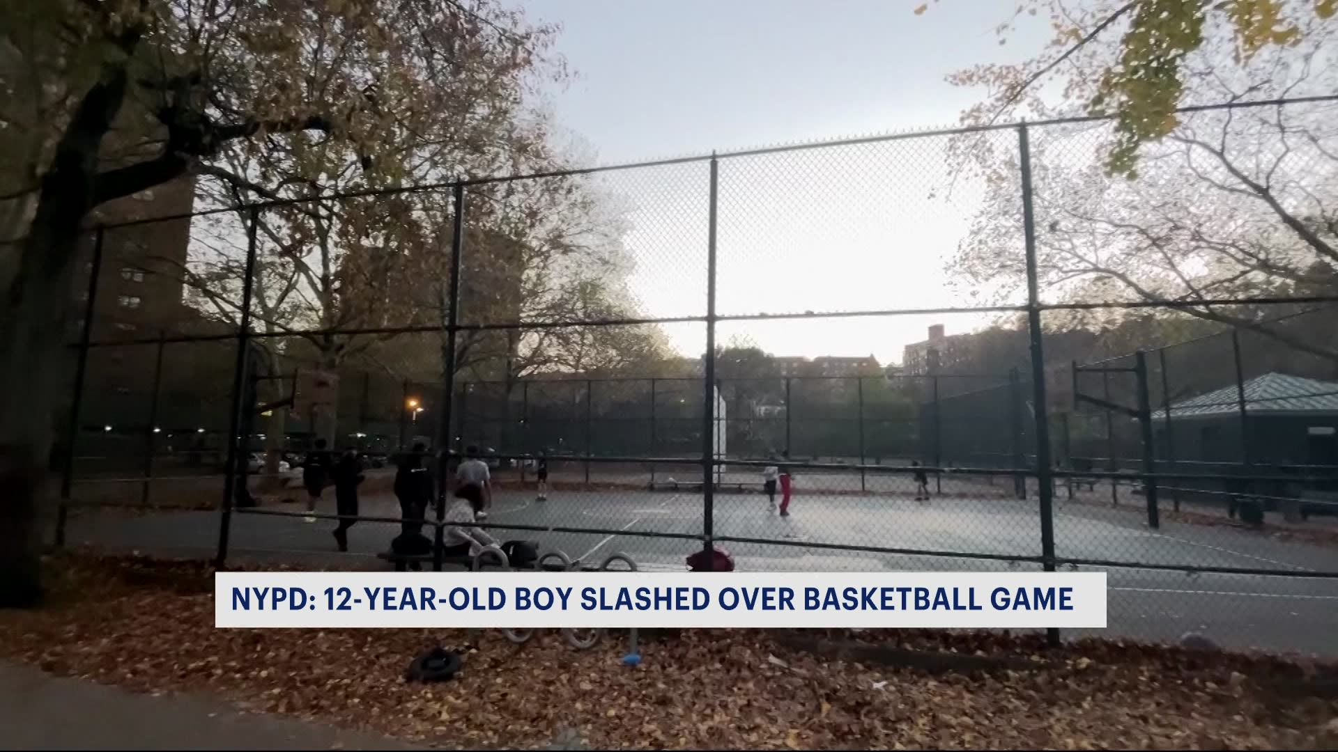 NYPD: 12-year-old boy slashed at Kingsbridge playground