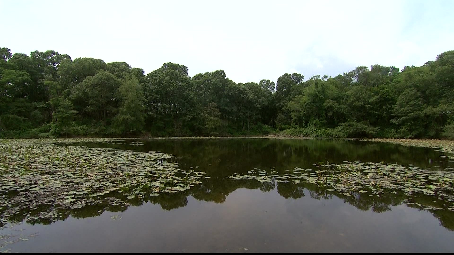 East End residents push back against LIPA power transmission line ...