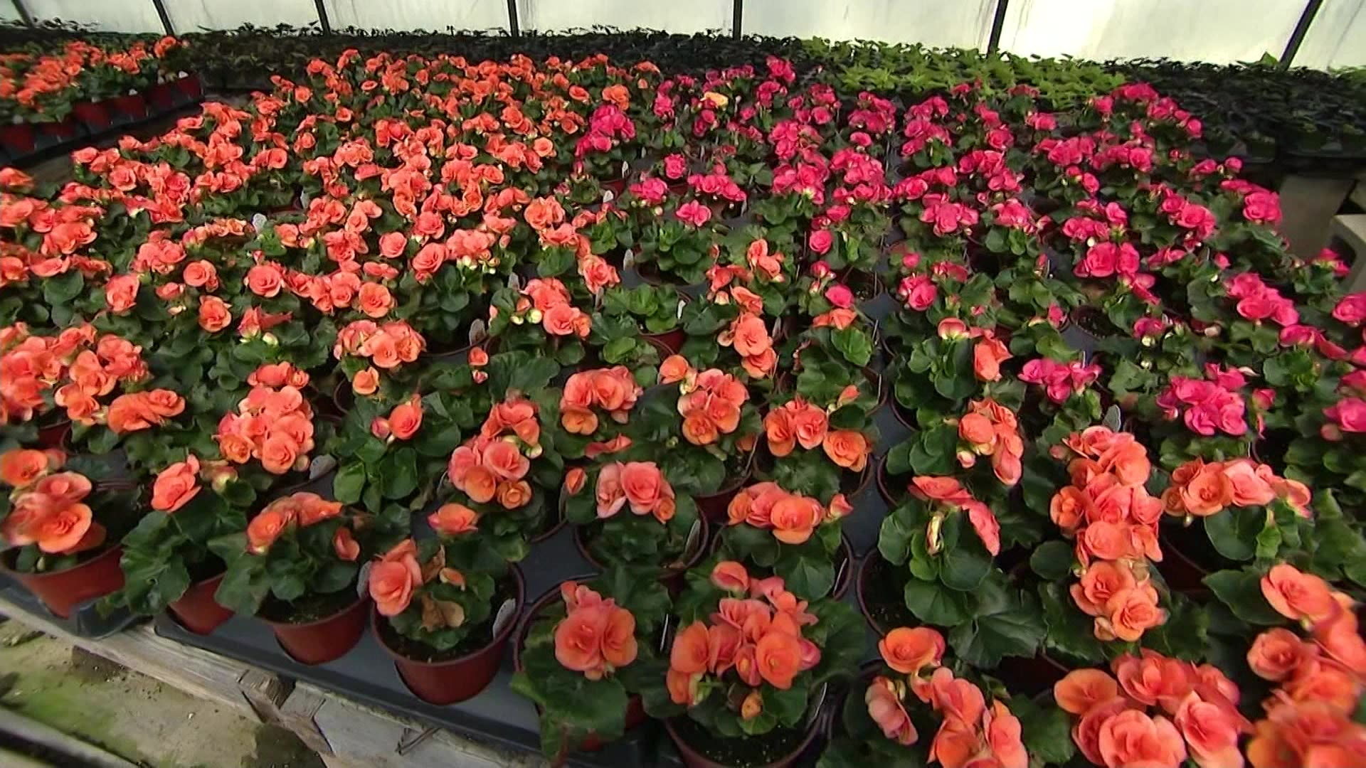 East End: Andrew’s Family Farm in Wading River