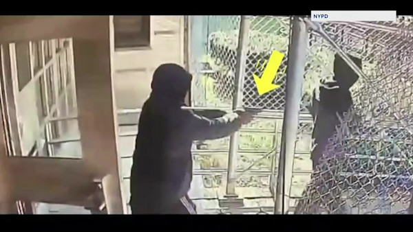 Video shows moment FedEx driver is shot outside Brooklyn building