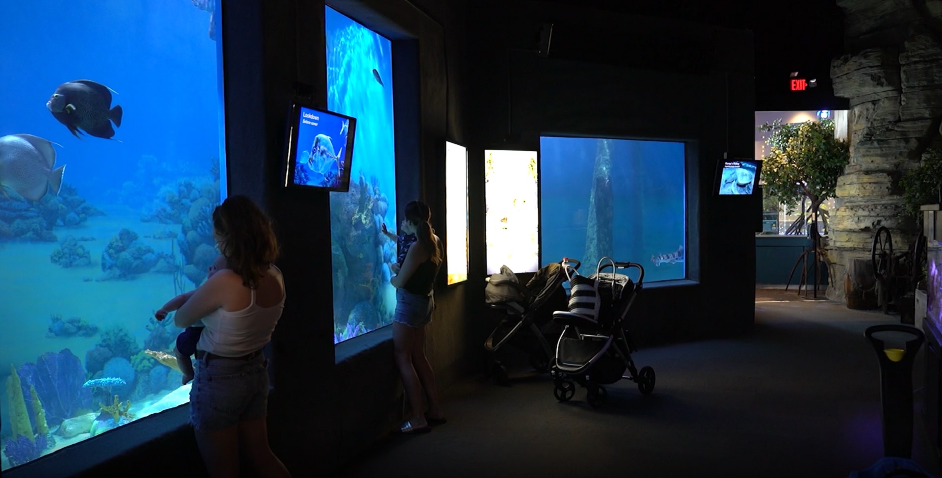 Aquariums In New Jersey at Loren Bona blog