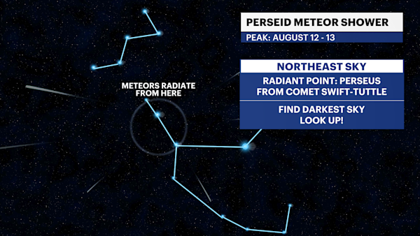Perseid meteor shower is back. Here’s how and when to see it.