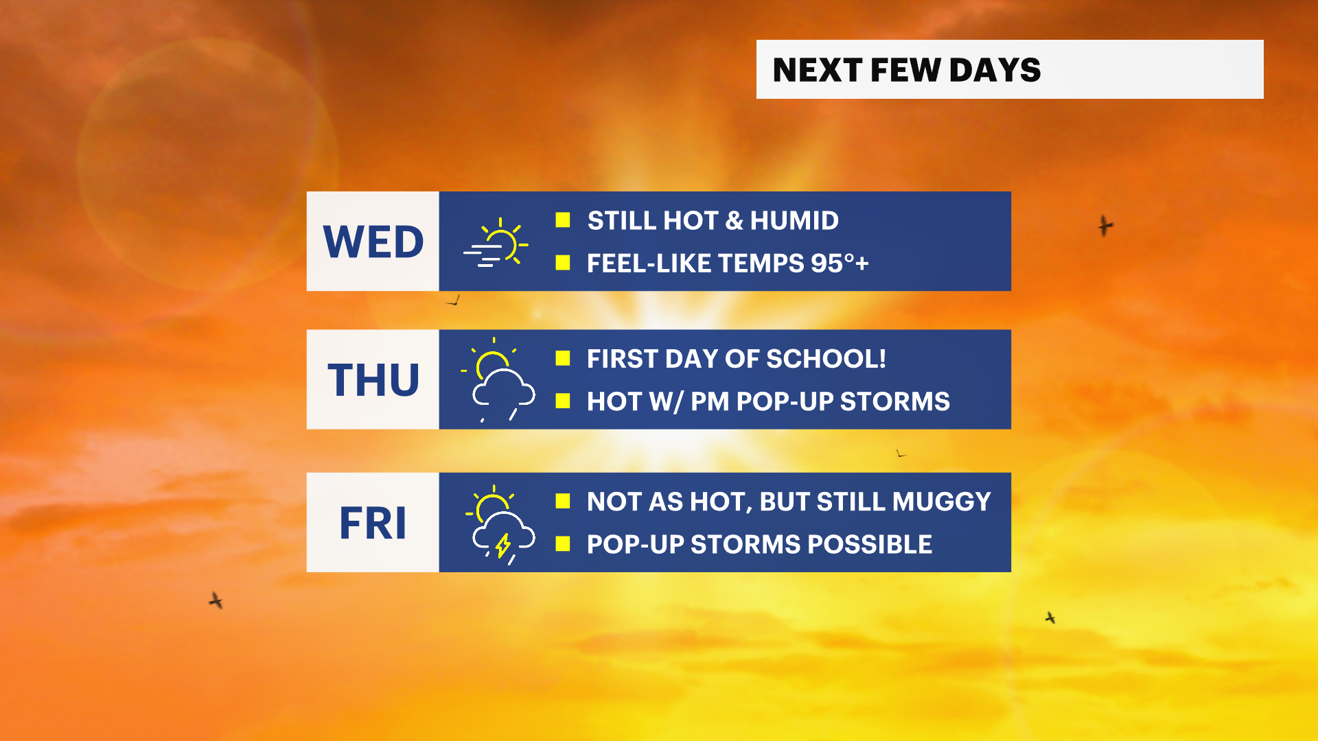 HEAT ALERT: Hot and humid conditions in NYC