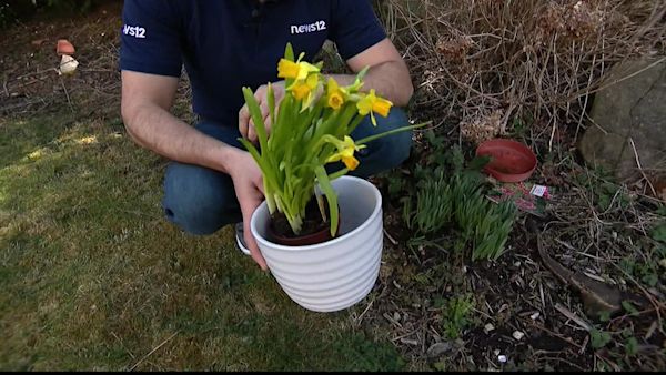 Meteorologist Alex Calamia shows you what to grow in your garden