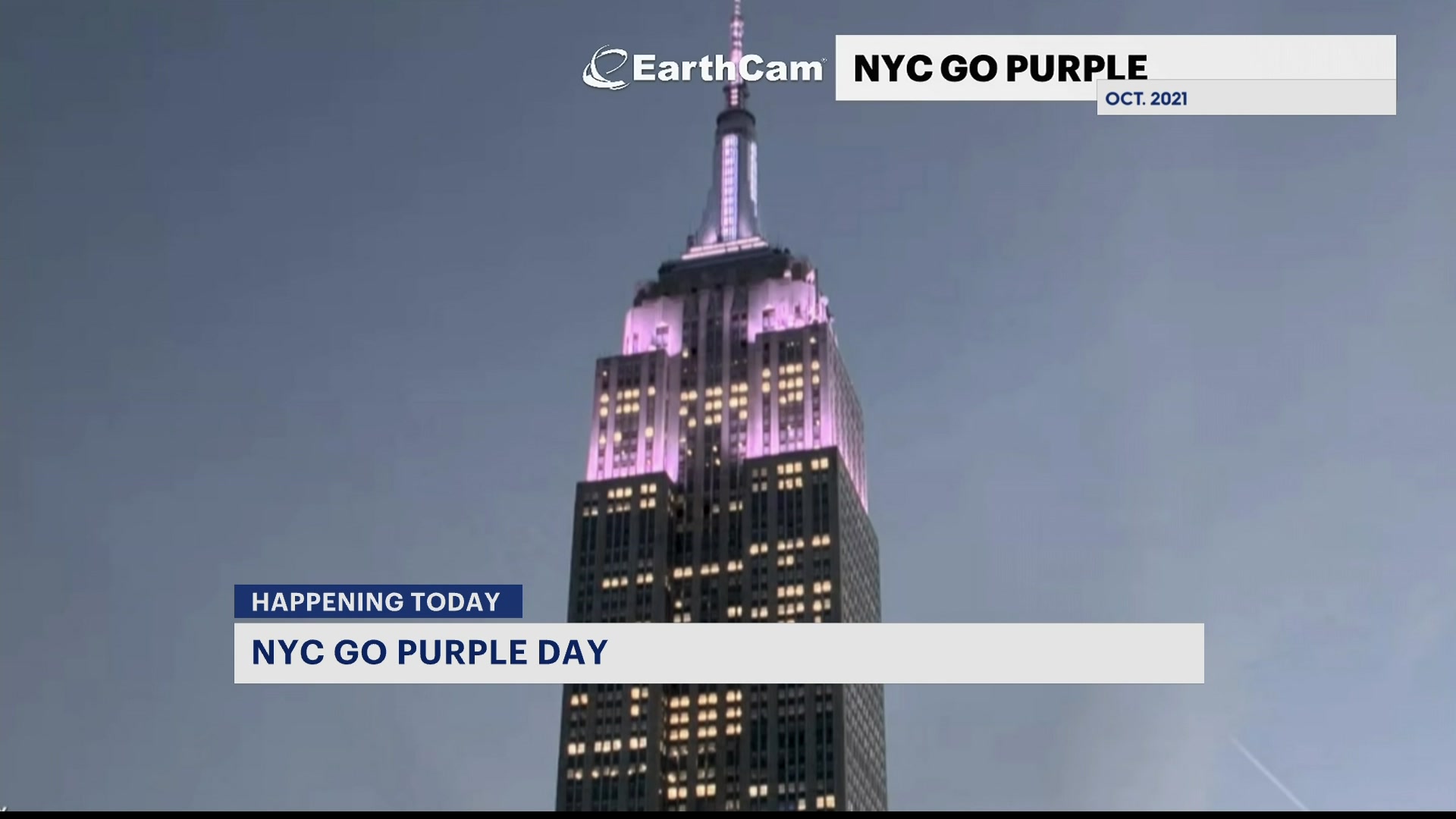 New Yorkers encouraged to wear purple today for domestic violence awareness