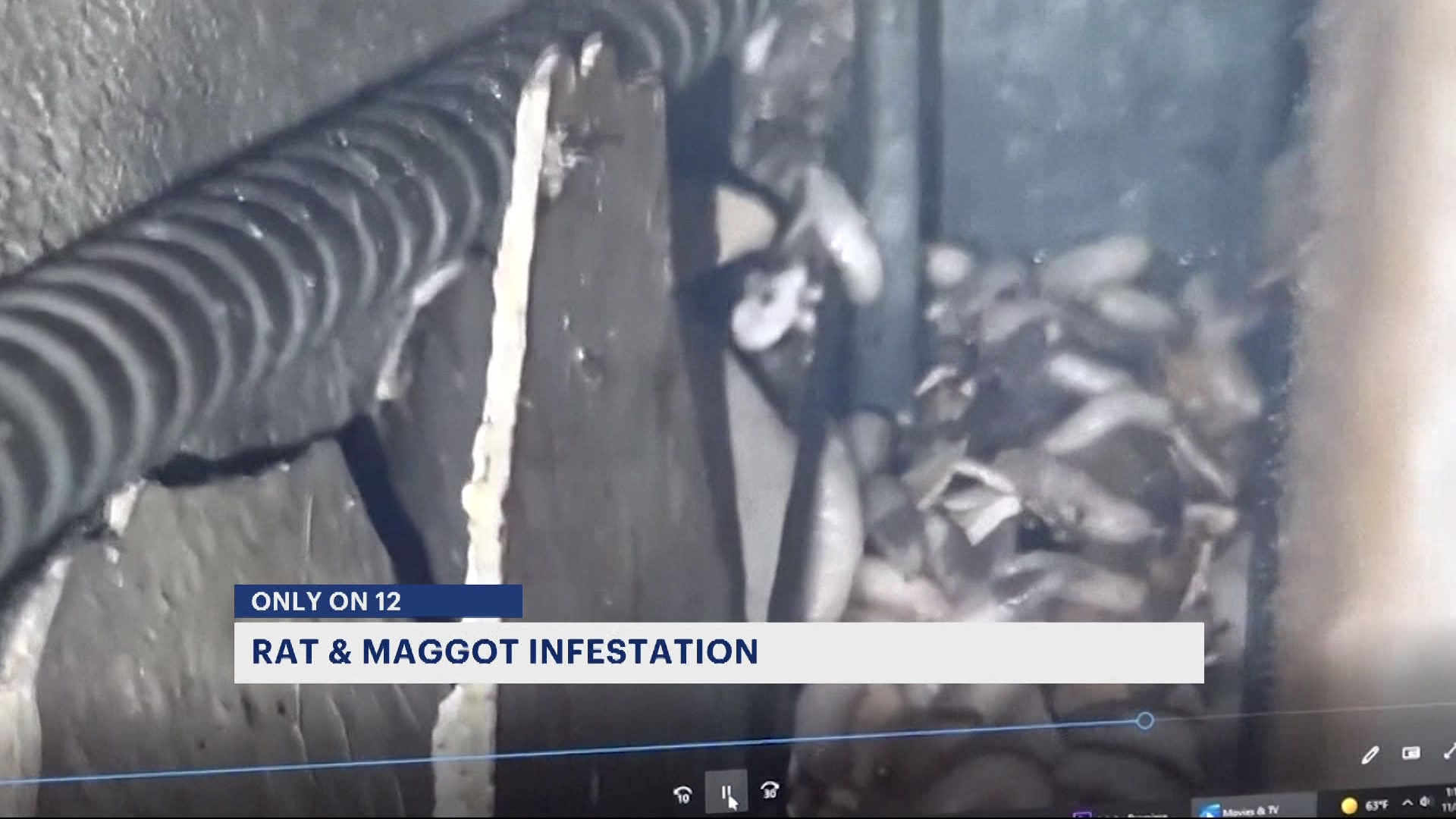 Concourse Village mother: Rodent and maggot infestation worsening at ...