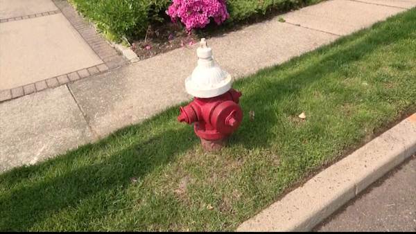 Questions surround hydrant closest to fatal Herricks fire following ...