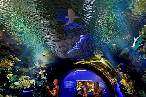 Guide: Indoor Fun in Connecticut