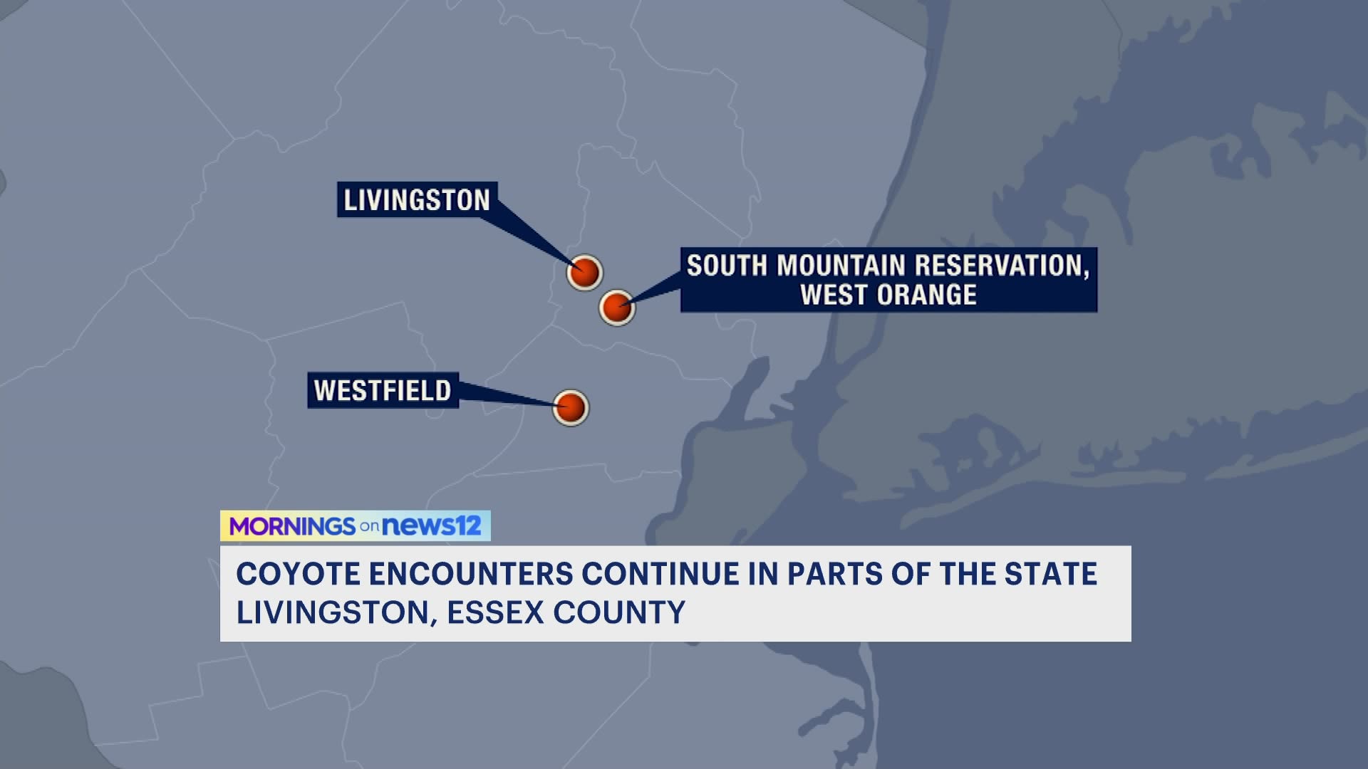 Coyote sightings reported in multiple Livingston neighborhoods