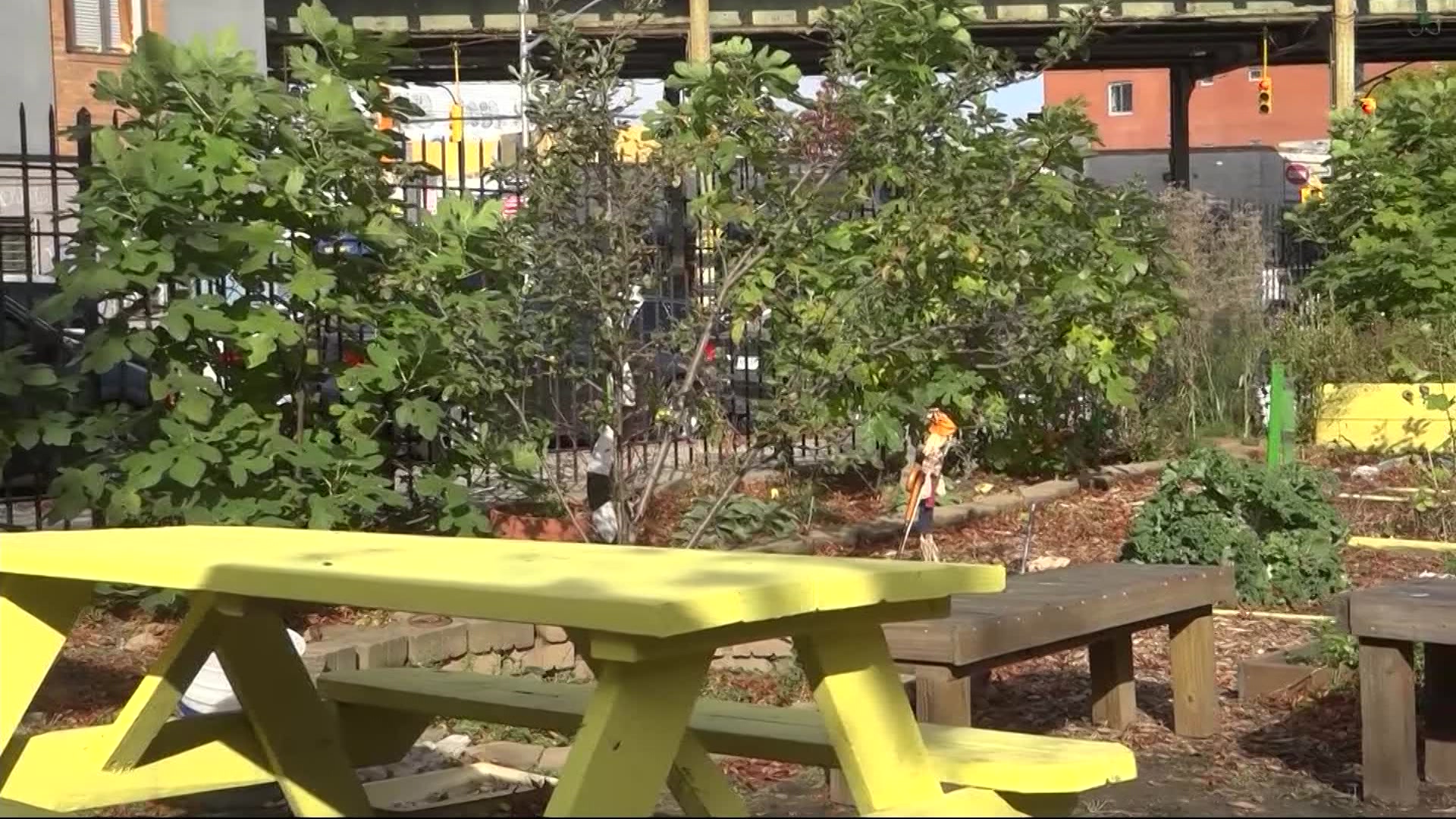 State of Our Schools: Students grow own produce at new garden at PS 376