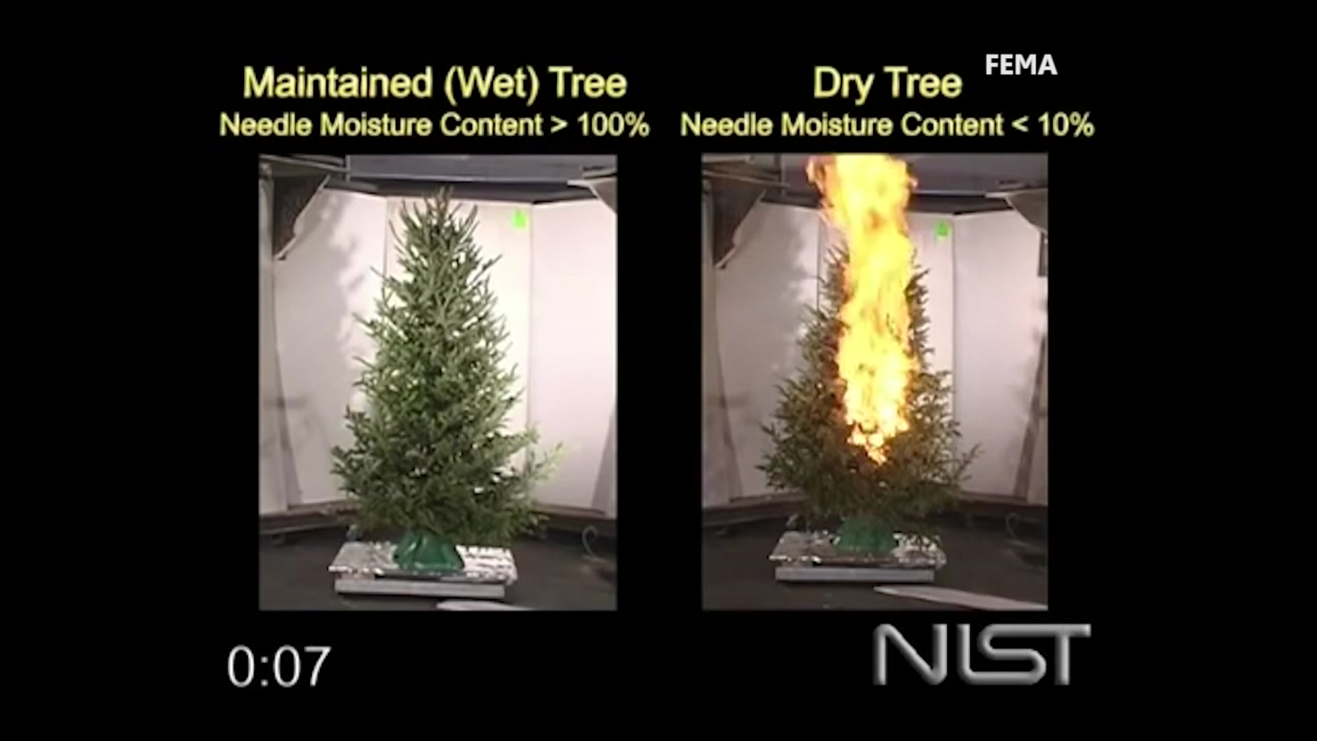 Westport firefighters remind public of Christmas tree, holiday safety tips