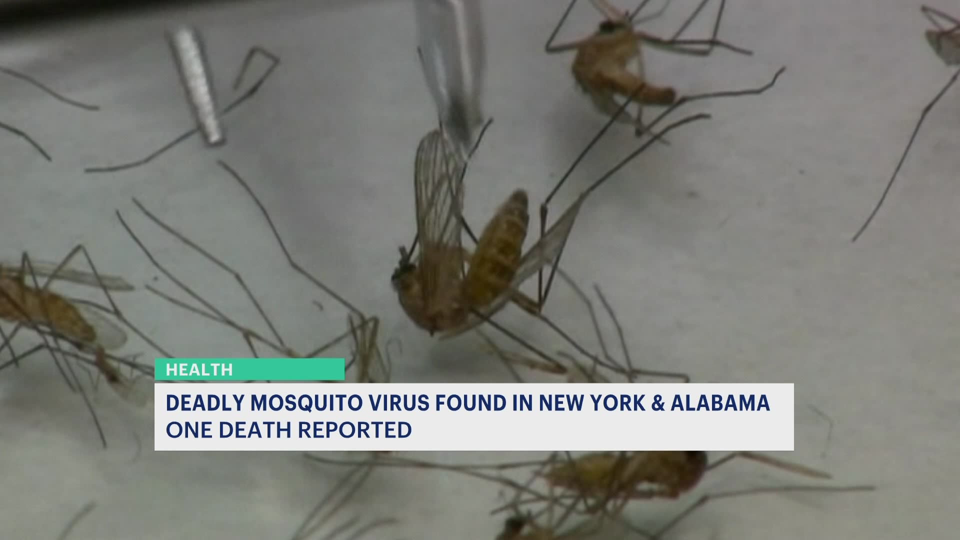 Health officials urge caution following 1 death from mosquito virus