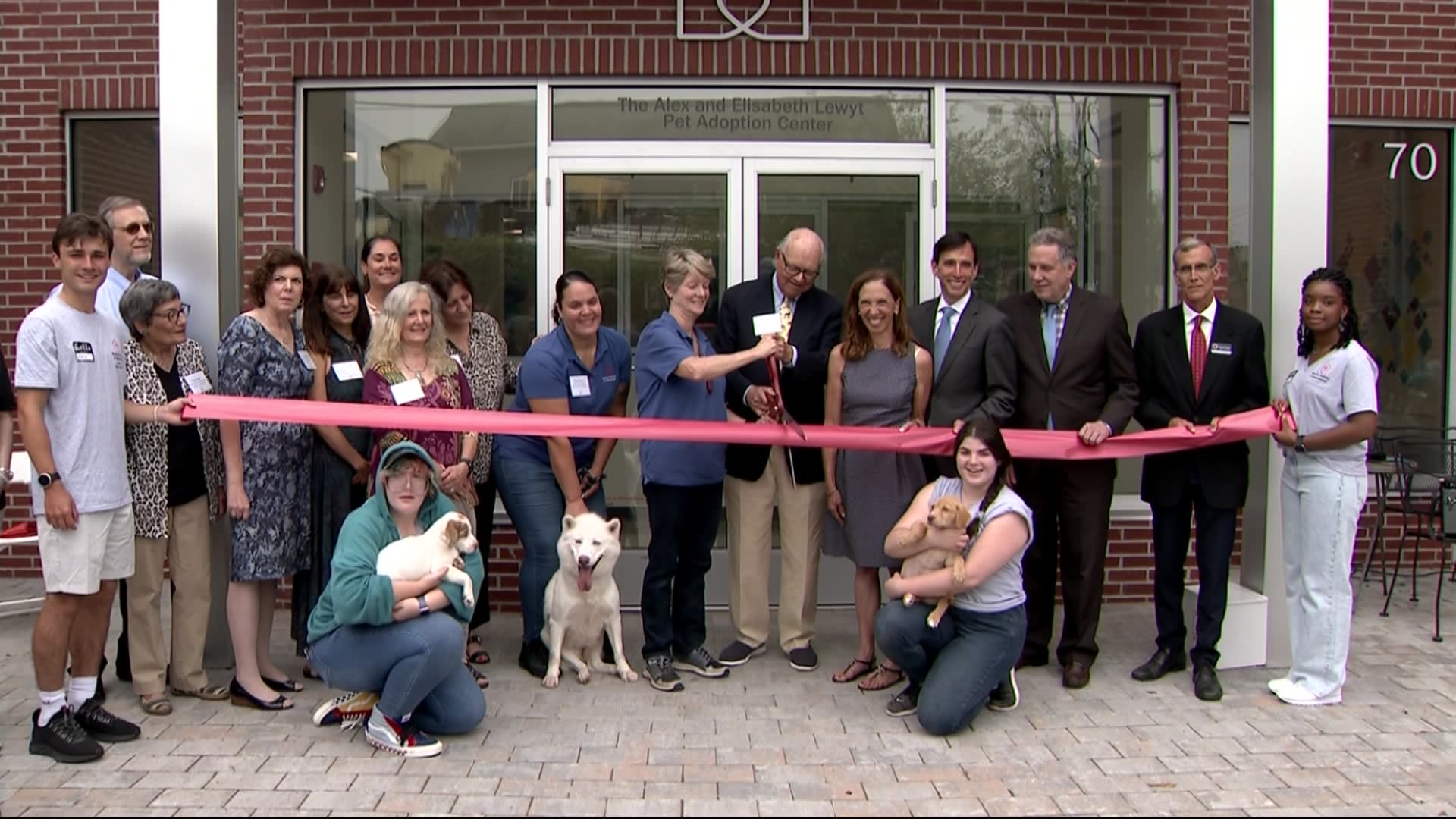Newly renovated Humane Society of Westchester opens in New Rochelle