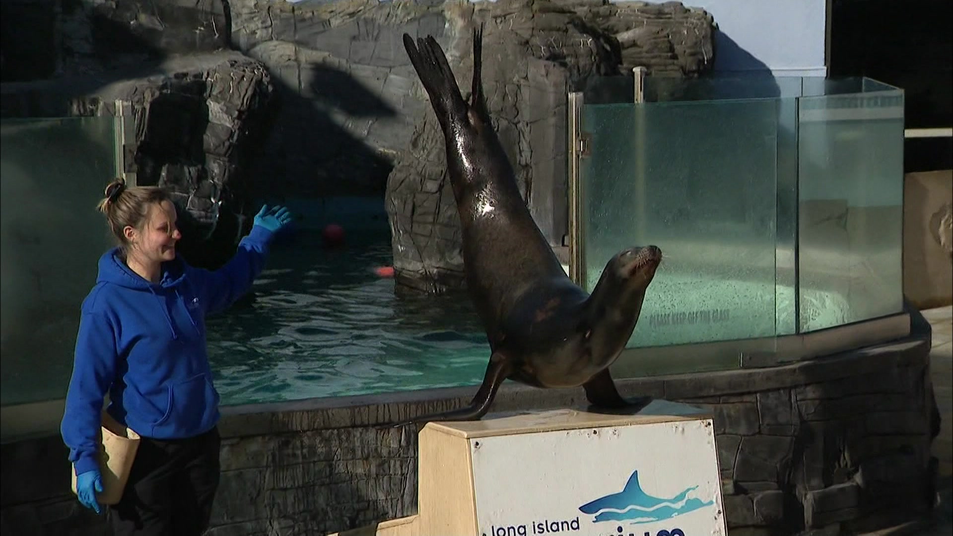East End: Long Island Aquarium