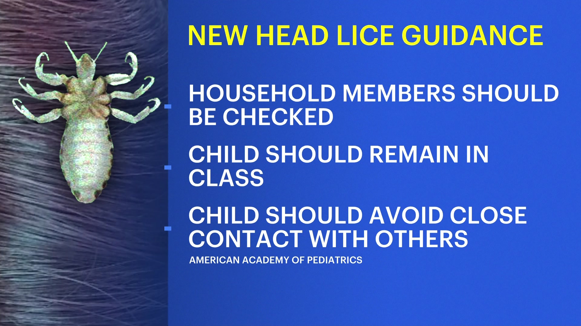 Kids with head lice shouldn’t be sent home from school, new guidance ...