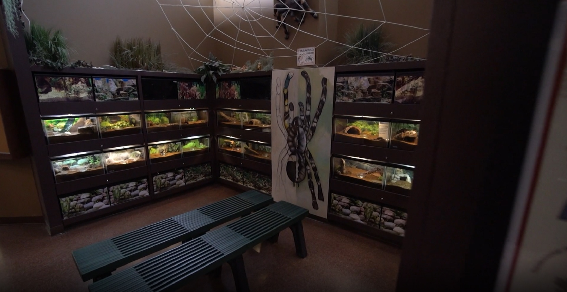 Looking for a road trip? Check out Insectropolis in Toms River