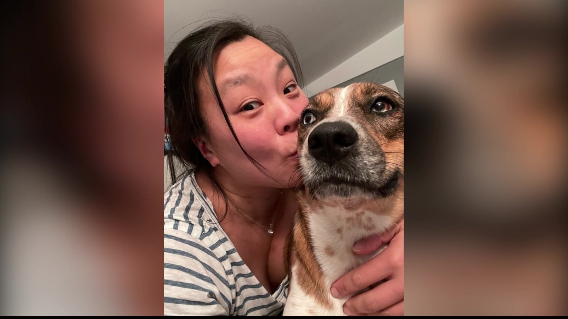 Norwalk dog clings to life after rescue from fire