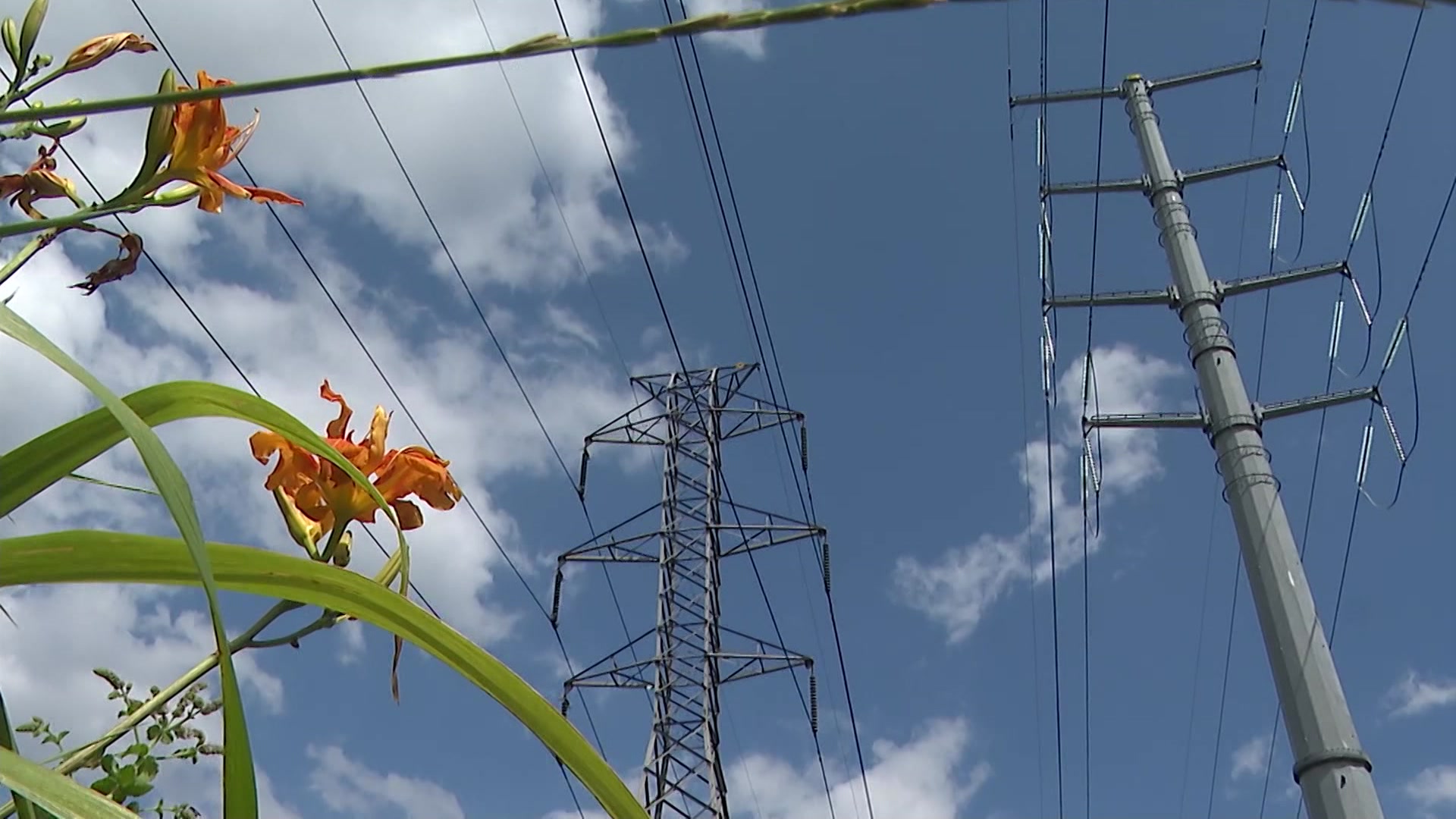 Positively New Jersey: A community garden under power lines