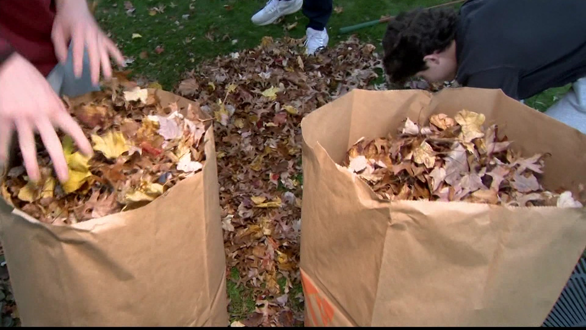 Landscaping Angels rake leaves for their elderly Greenburgh neighbors