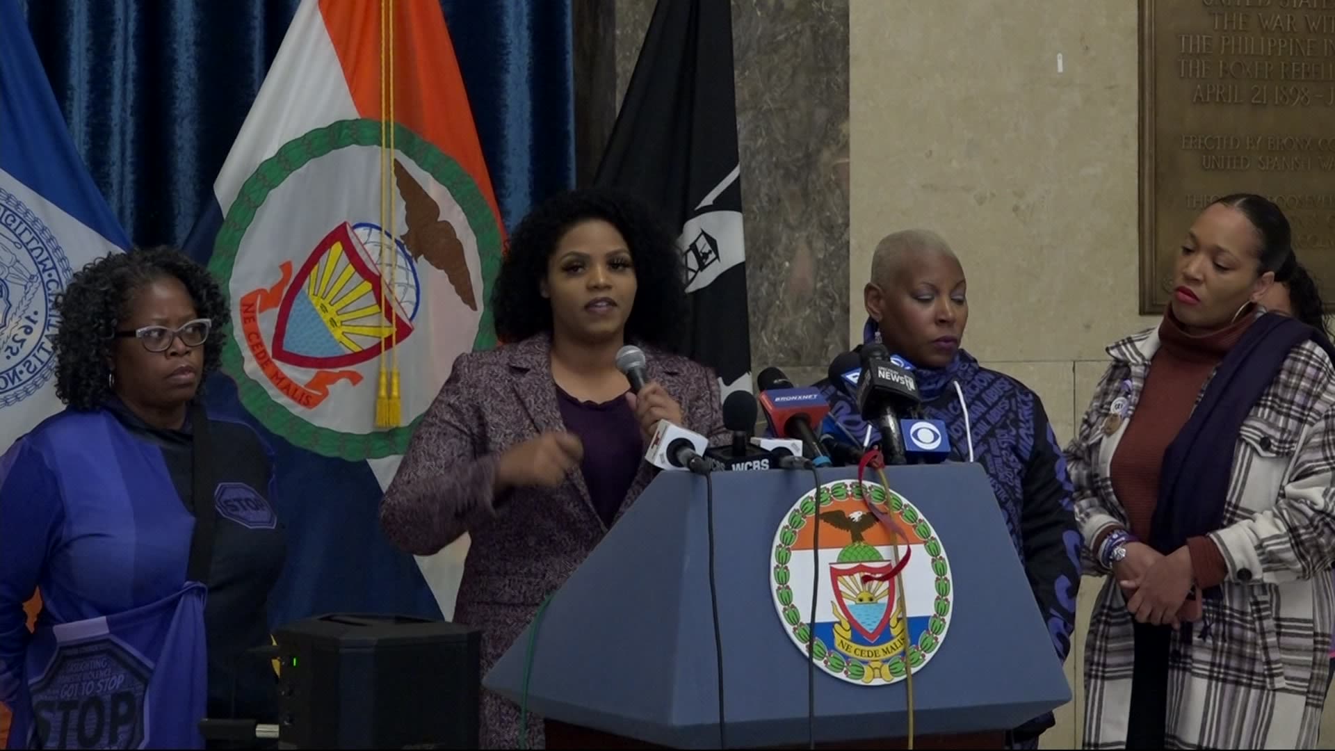 Bronx borough president relaunches domestic violence advisory council