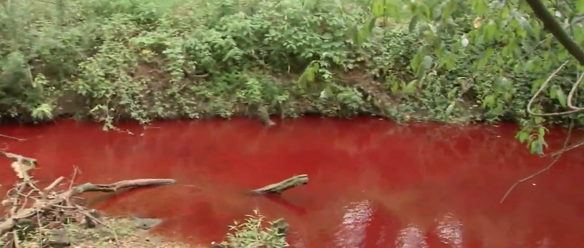 A bizarre sight! River in New Jersey turns bright red, beverage ...