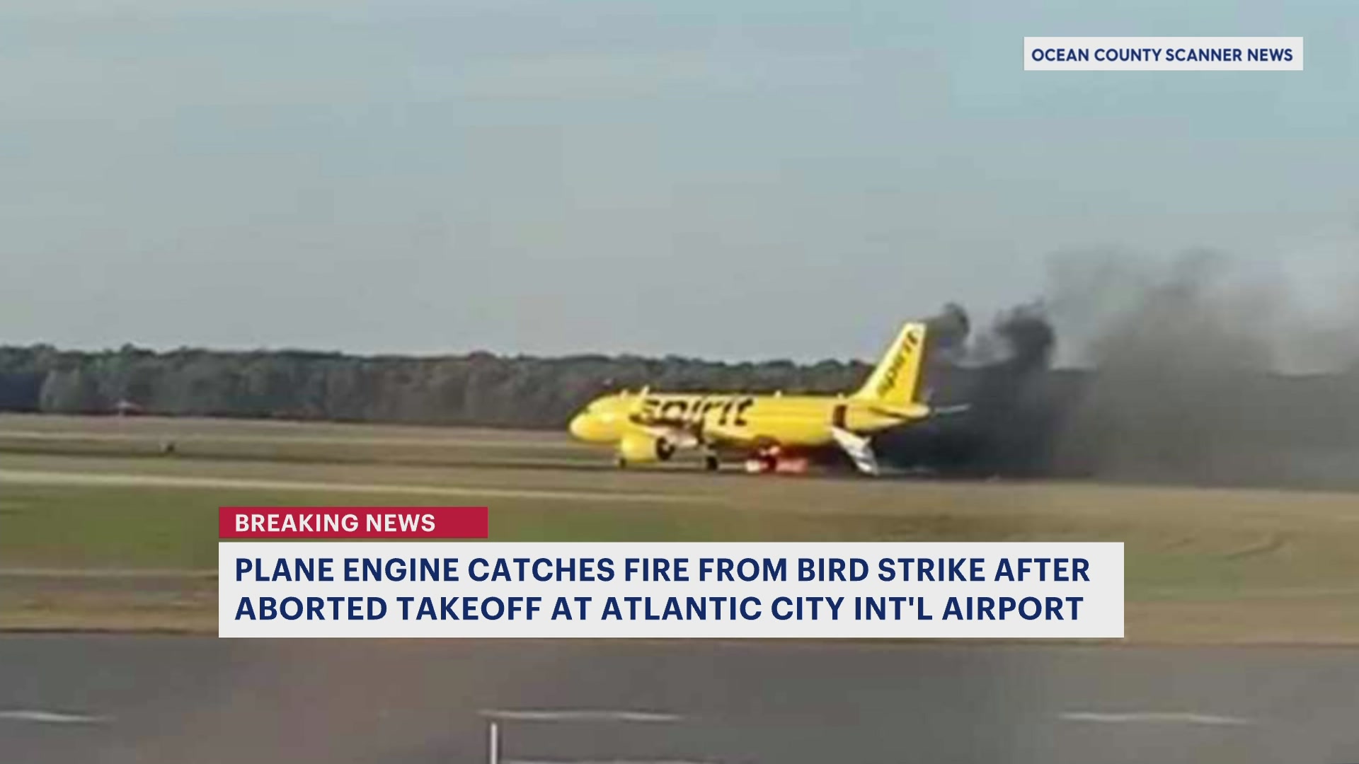 FAA: Plane engine catches fire from bird strike after aborted takeoff ...