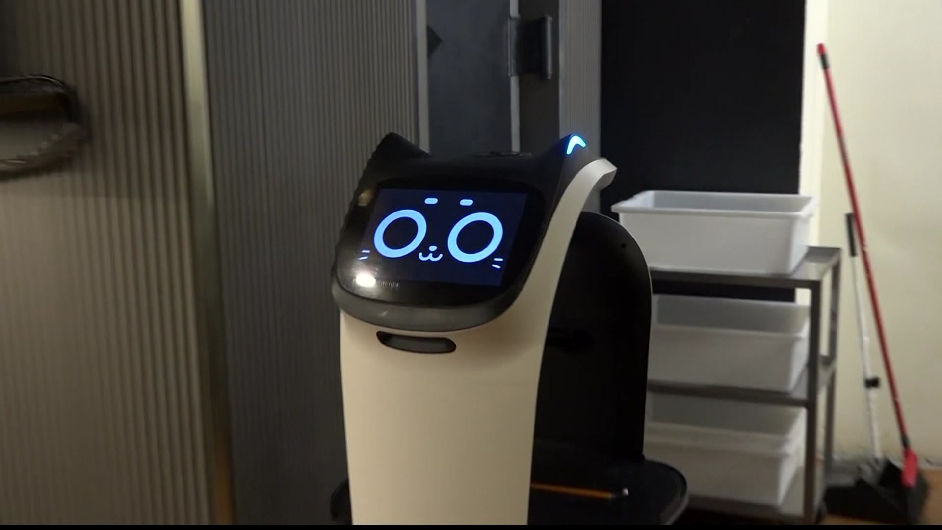 New Dim Sum restaurant brings robot waitress to Brooklyn