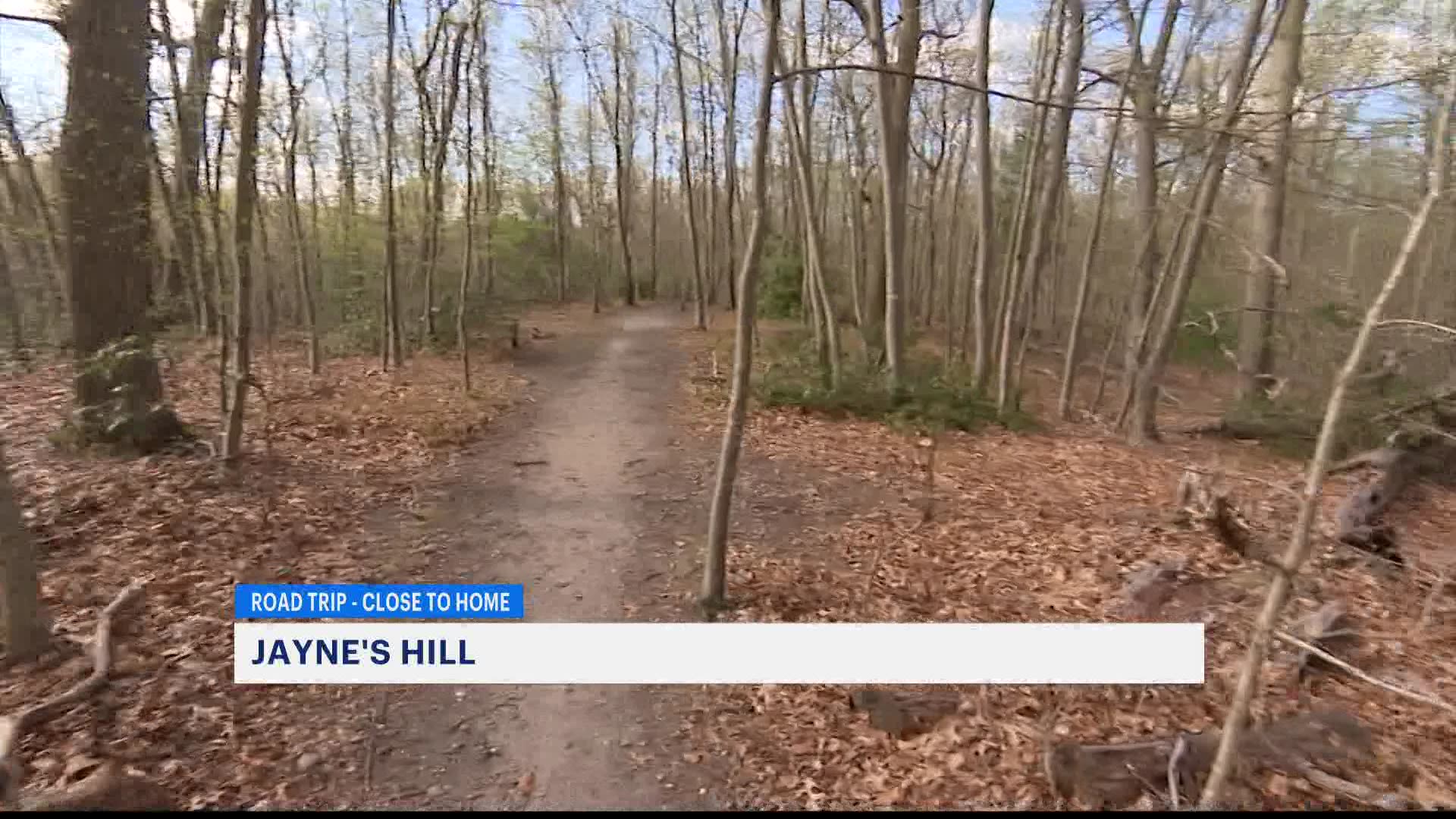 Get your steps in when you visit Long Island’s highest point - Jayne's ...