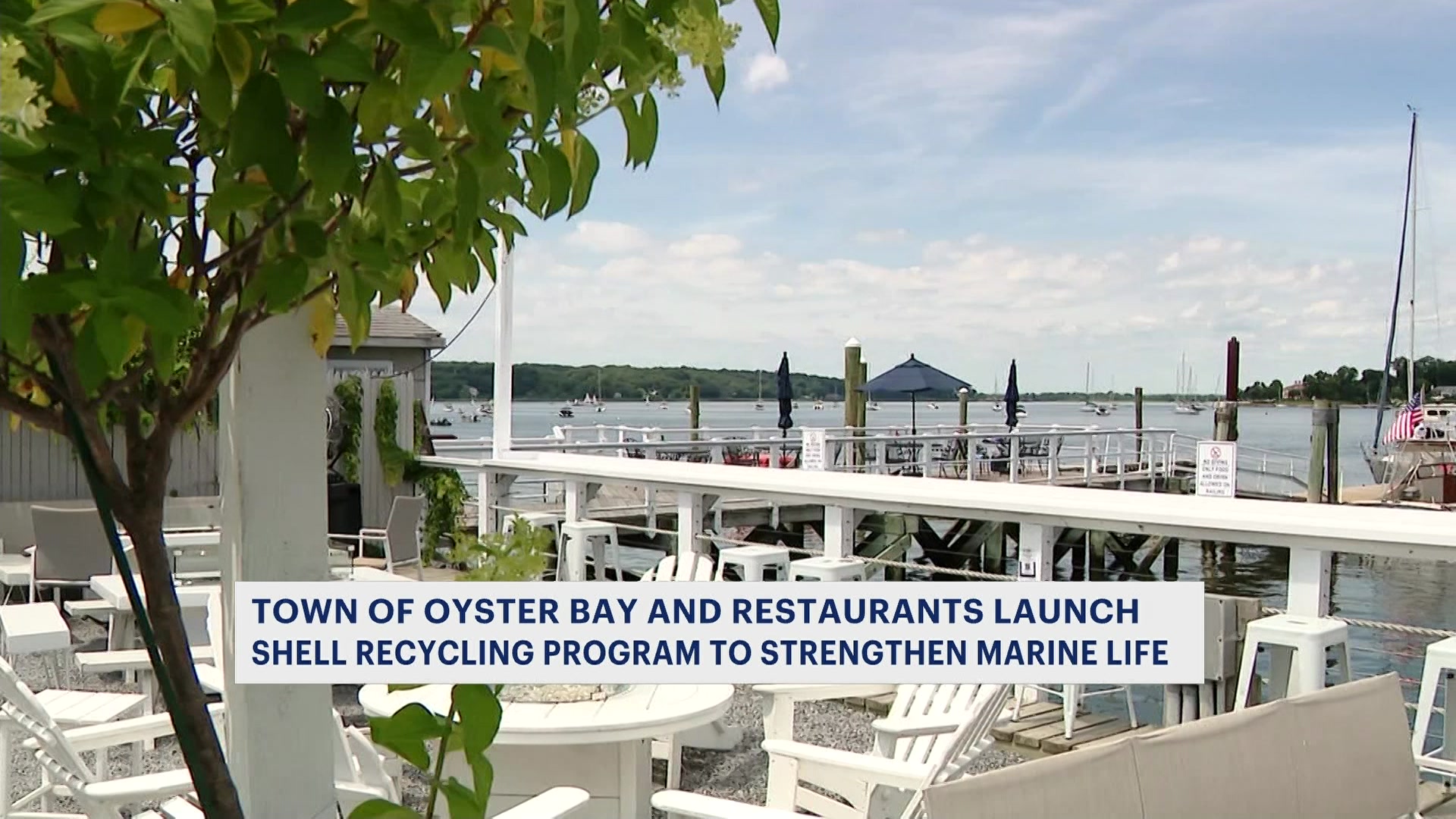 Oyster Bay and restaurants launch shell recycling program to strengthen marine life