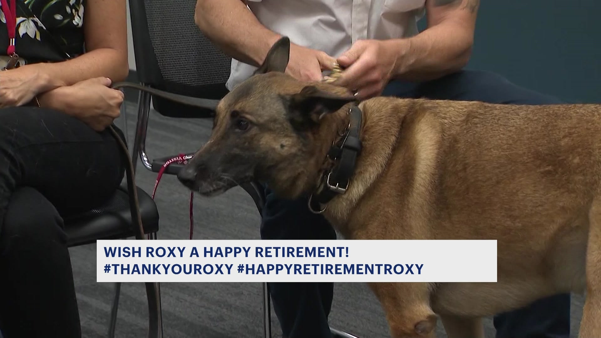 Thank you, Roxy! FBI celebrates K-9 officer’s retirement