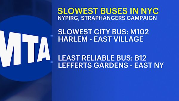 NYPIRG: Brooklyn's B12 bus route was least reliable in NYC