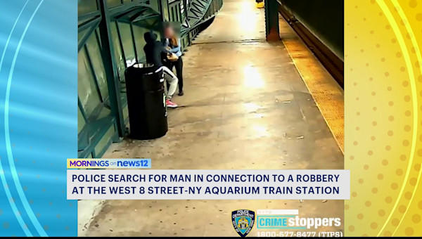 VIDEO: Man snatches purse, phone from woman waiting for train in Brooklyn VIDEO: Man snatches purse, phone from woman waiting for train in Brooklyn