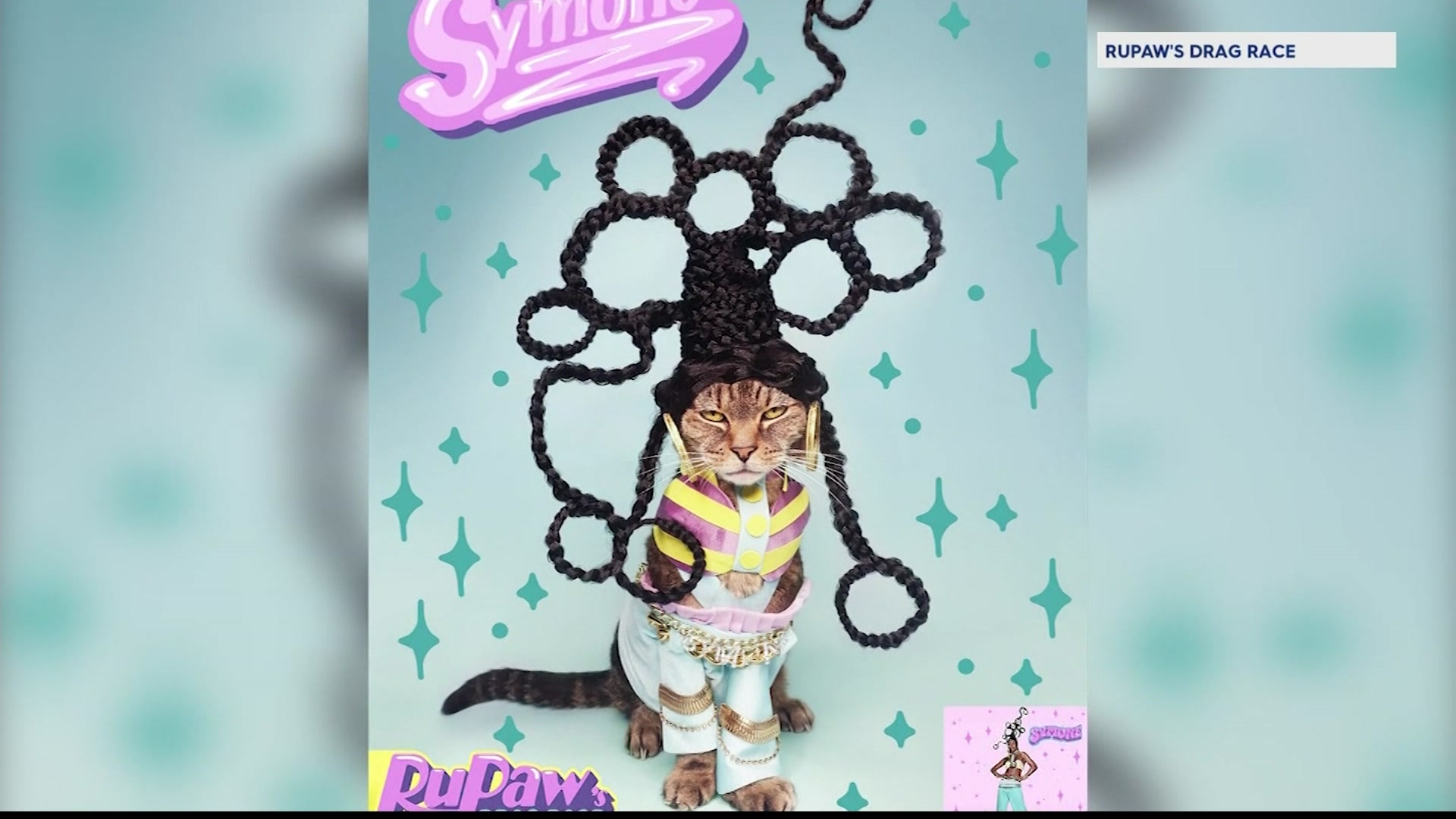 ‘Laila’ the drag cat recreates iconic drag queen looks from RuPaul’s ...