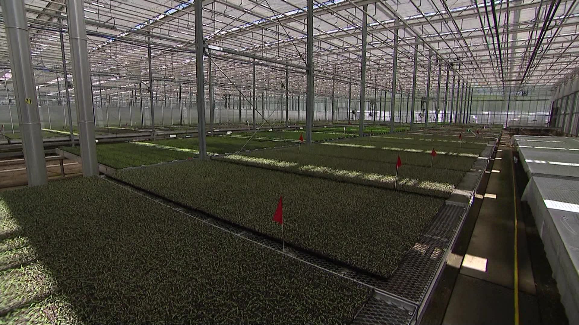 Marijuana producer completes $42 million deal for East End growing ...