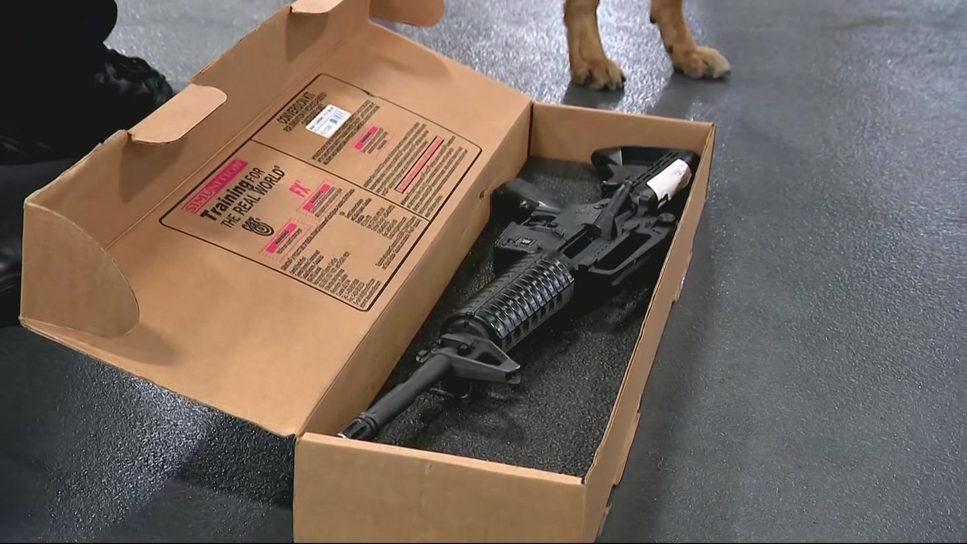 Firearm Task Force hope to cut off 'Iron Pipeline' of illegal guns