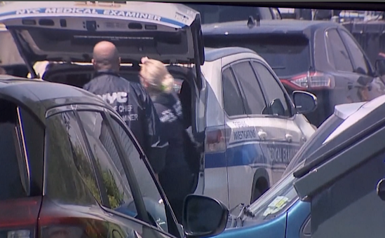 NY - ALFA BARRIE & GARRETT WARREN: Missing from Harlem, NY - 12 May ...