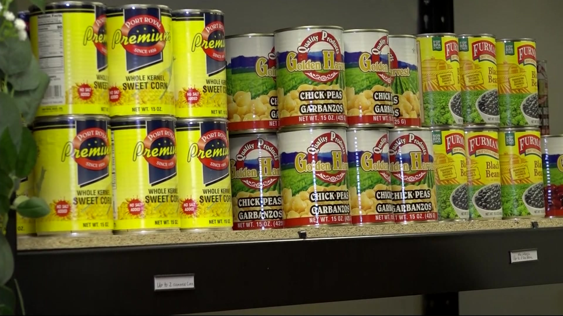 City Tech students look to fight food insecurity with visits to NYC ...